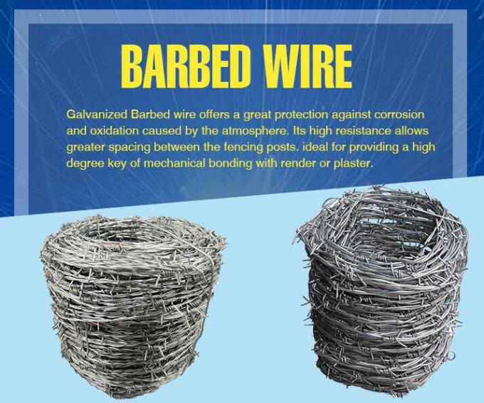 Crossed Wire Fence 16 Gauge Galvanized Barbed Wire