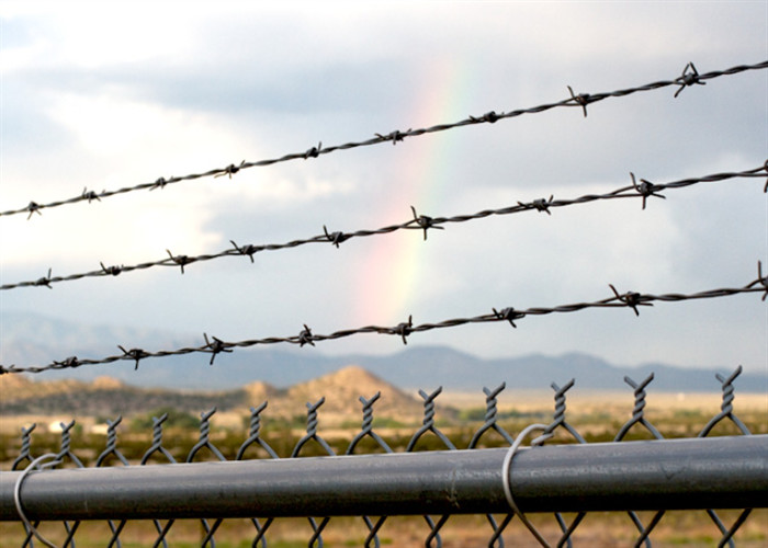 Bwg 12 X 14 Hot Dip Galvanized Barbed Wire Double Strand Military ...